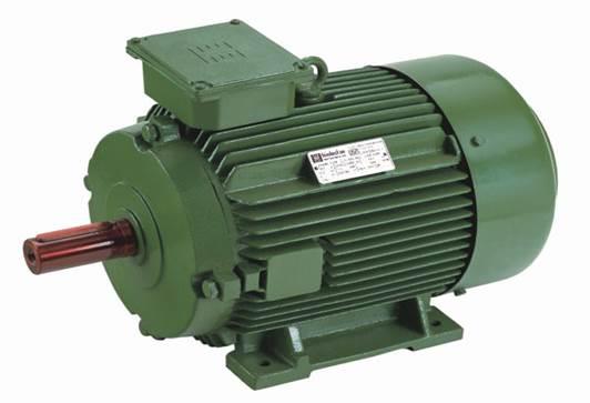 View - IE2 High Efficiency Standard Motors