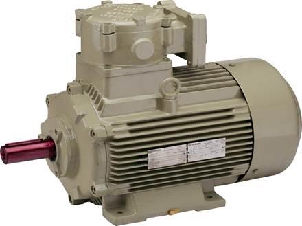 View - Atex Motor - Flameproof Motor