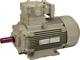 View - Atex Motor - Flameproof Motor